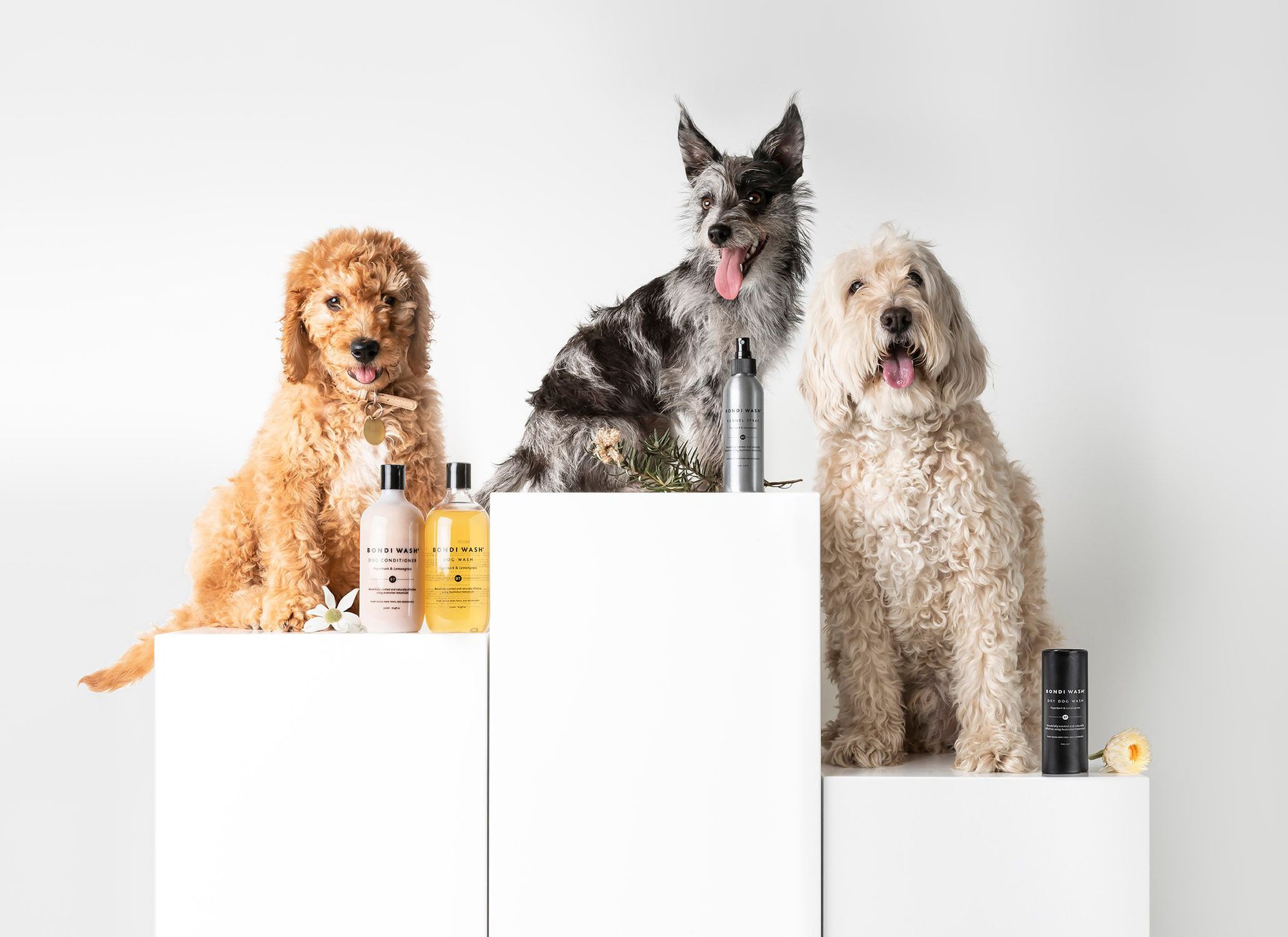 everything to know about plinths and when to use them - Kist Displays